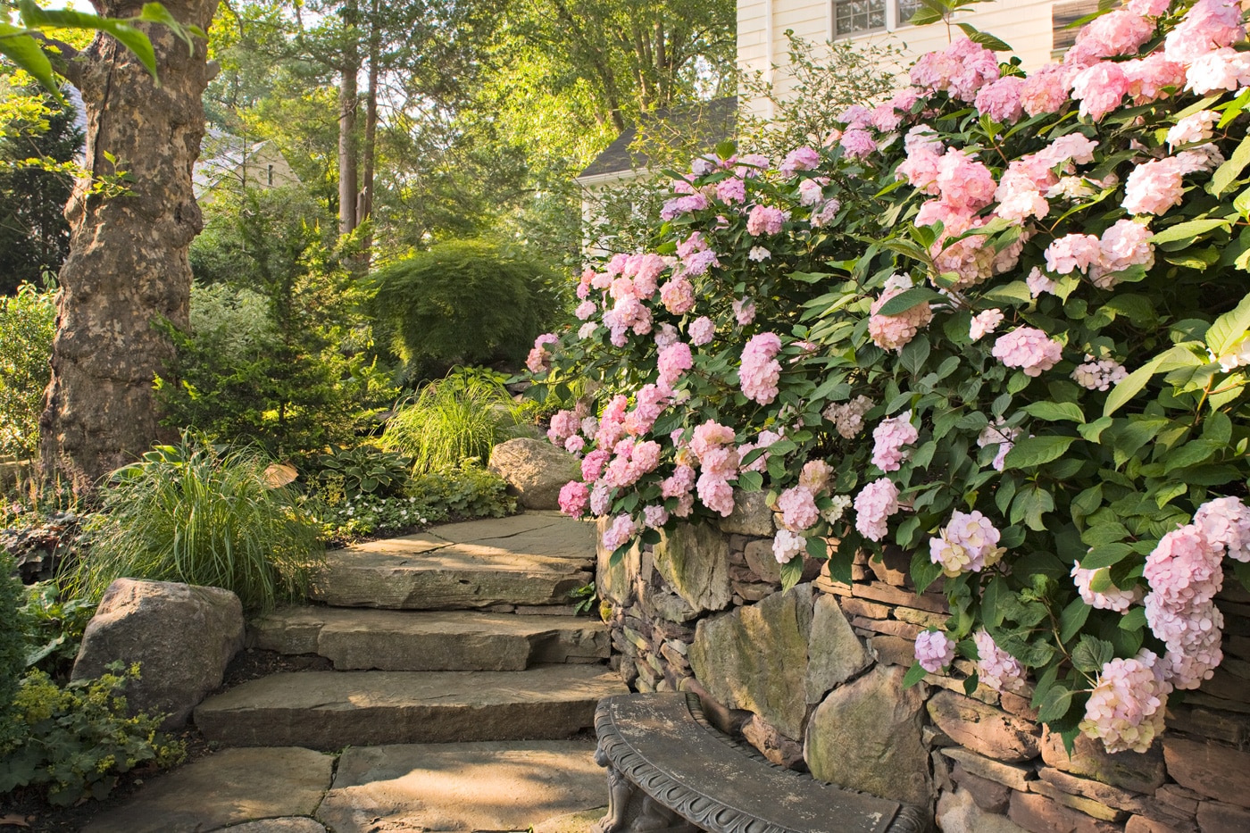 Landscape for Seasonality